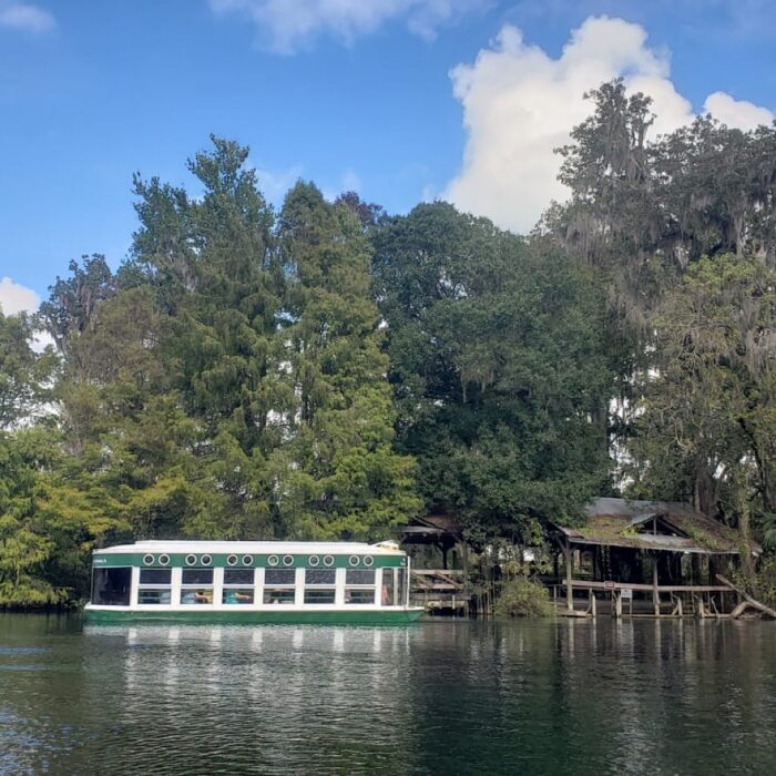 Everything You Need to Know When Visiting Silver Springs State Park ...