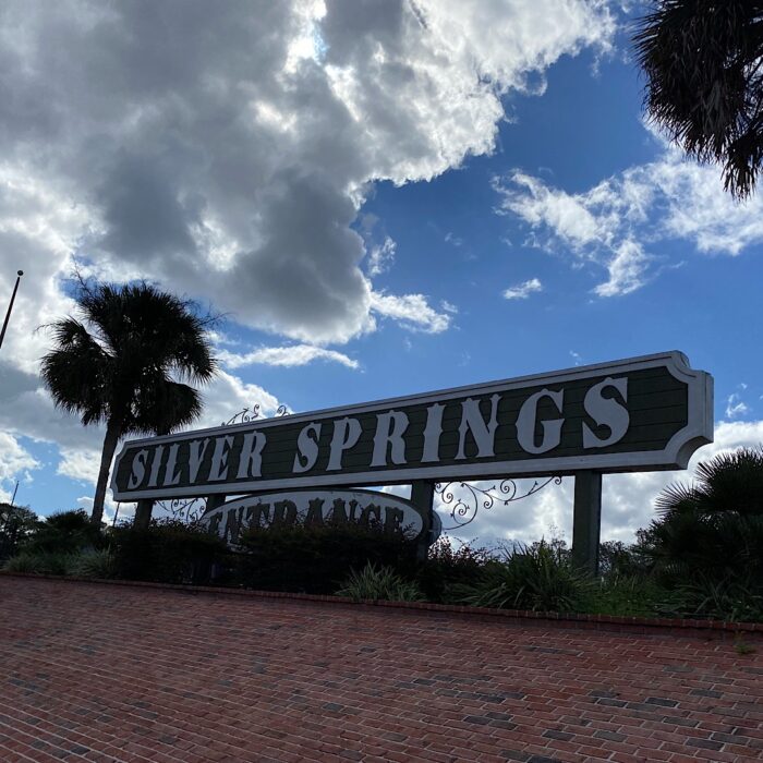 Everything You Need to Know When Visiting Silver Springs State Park ...