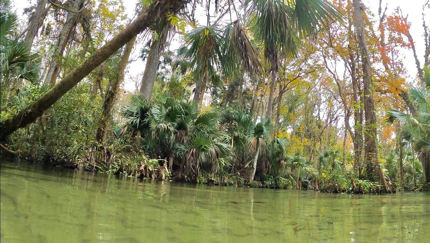 The 5 Most Beautiful Natural Florida Gems You Have to Experience ...